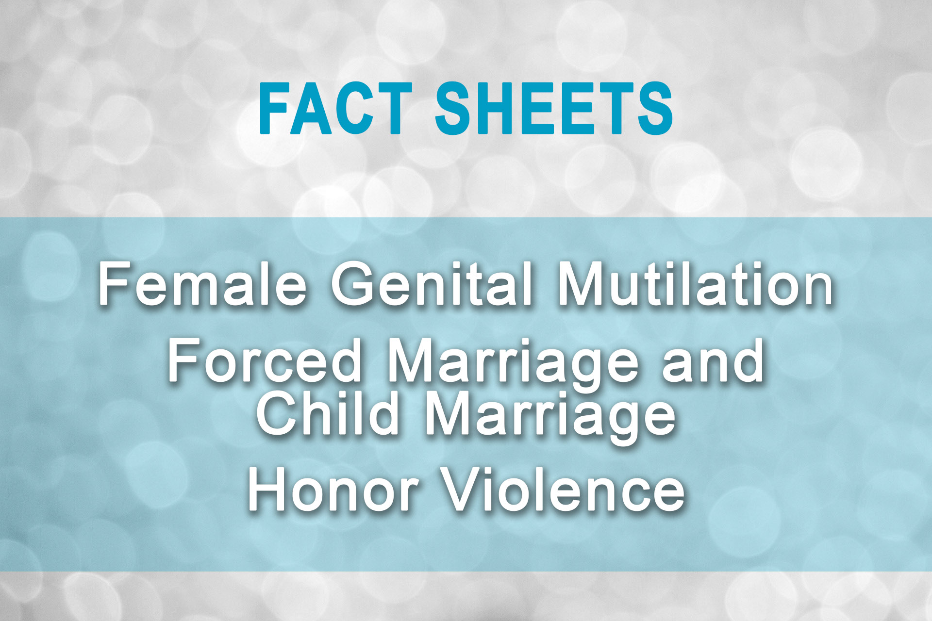 FACT SHEETS - AHA Foundation