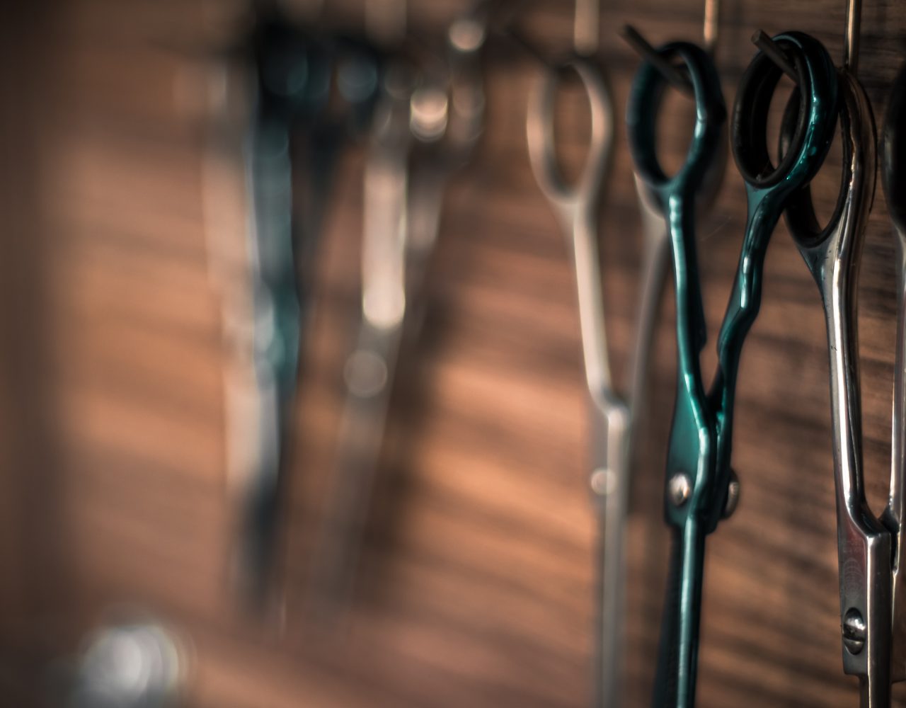 AHA Foundation - Founded by Ayaan Hirsi Ali